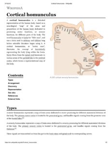 Cortical Homunculus | Quantum Neuroscience